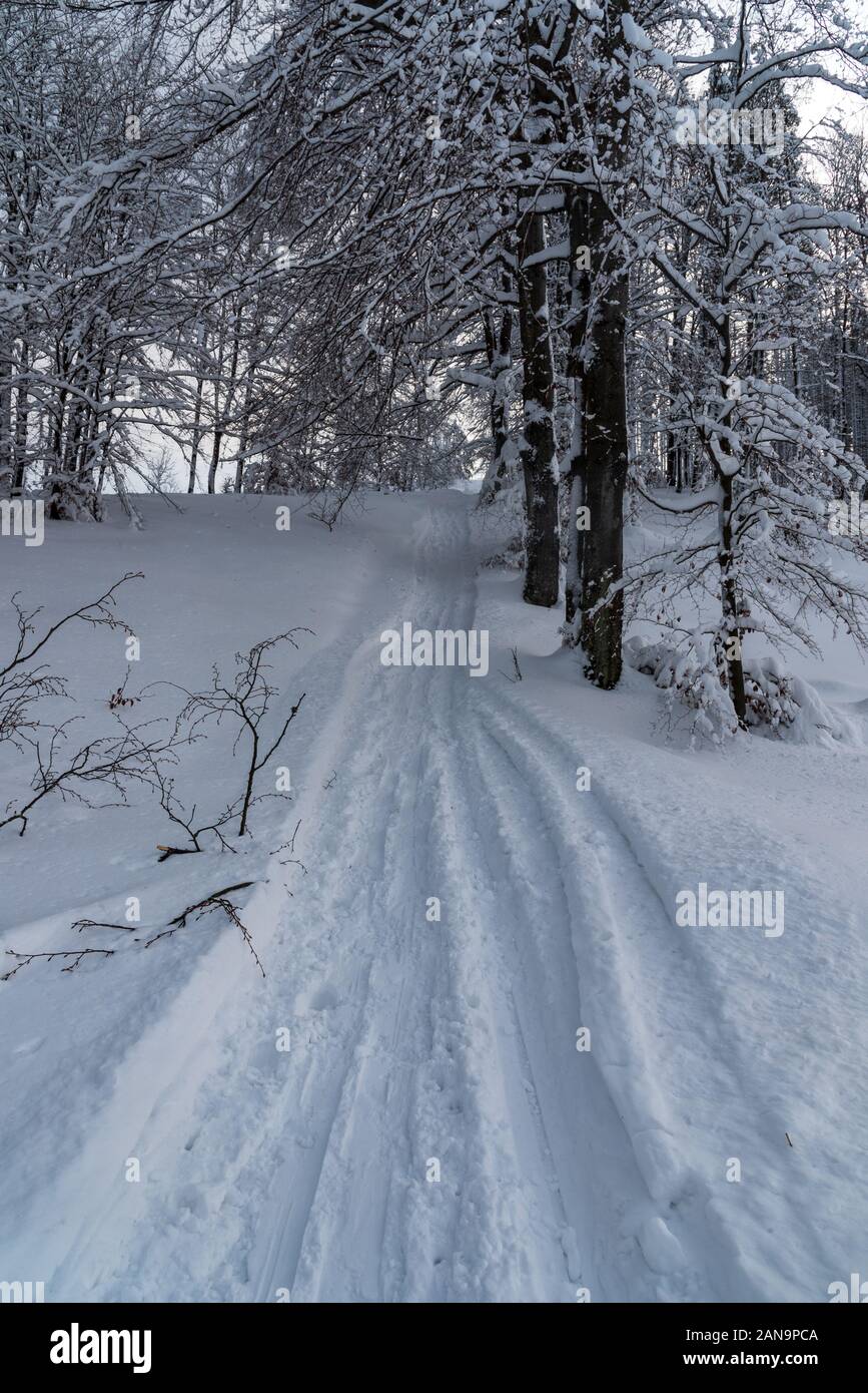 Velka raca ski hi-res stock photography and images - Alamy