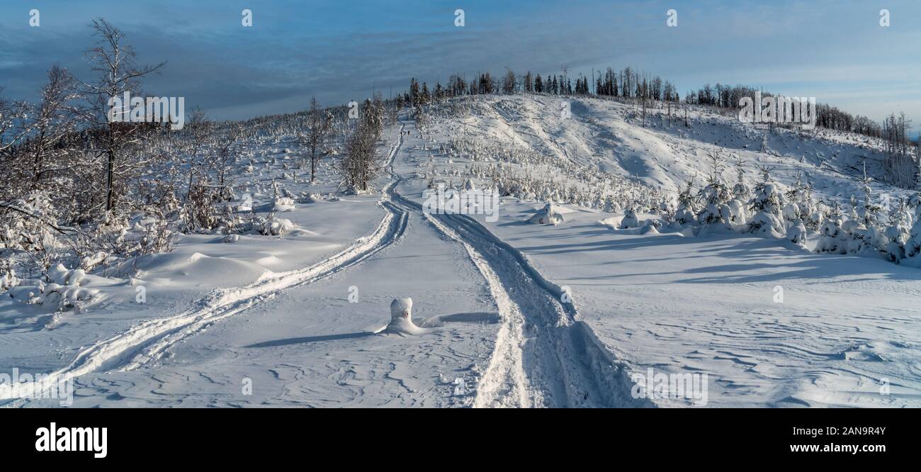 snow covered hiking trail bellow Wielki Przyslop hill in winter Beskid ...
