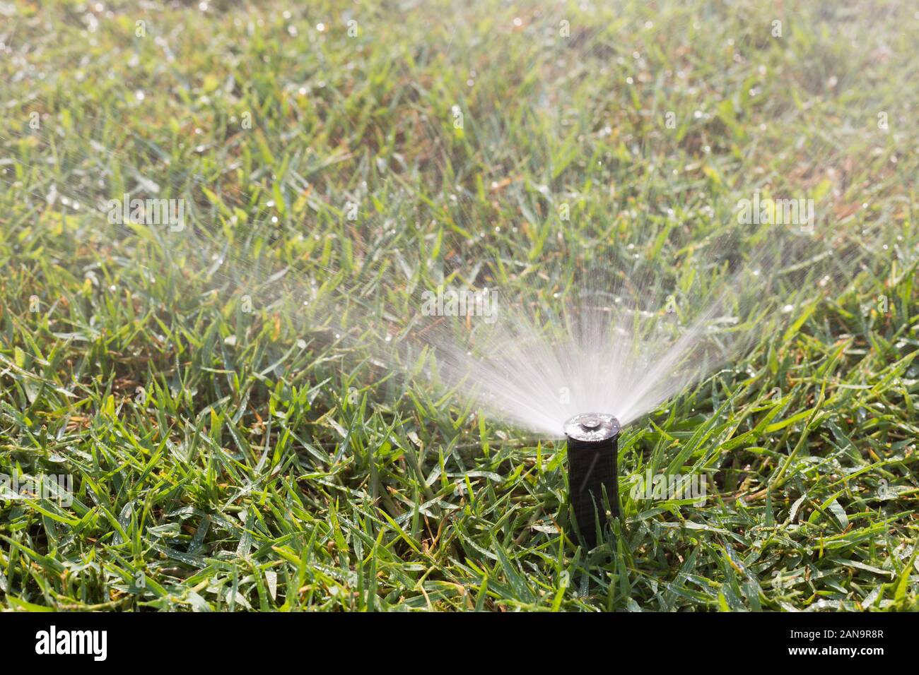 Sprinkler working on a green grass lawn Stock Photo - Alamy