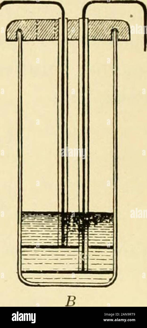 Physiology and biochemistry in modern medicine . Fig. 5.—Diagram of ...