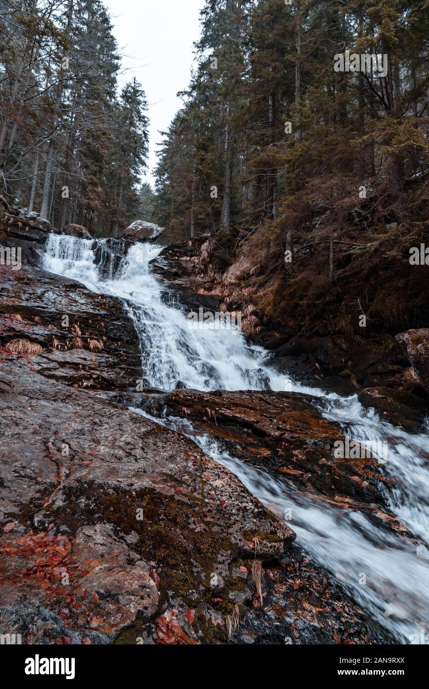 Cascade and waterfall in the forest Stock Photo - Alamy