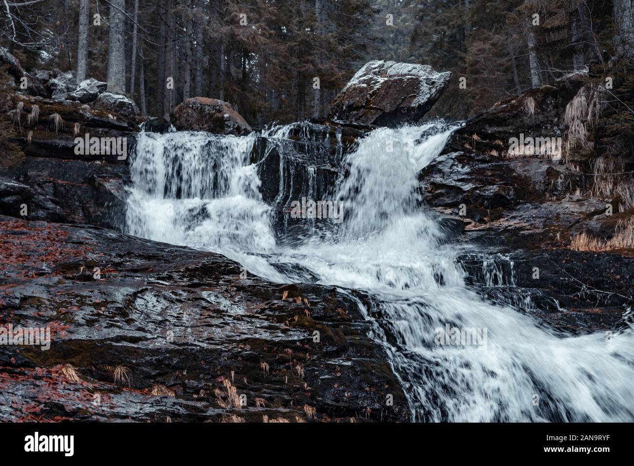 Cascade and waterfall in the forest Stock Photo - Alamy