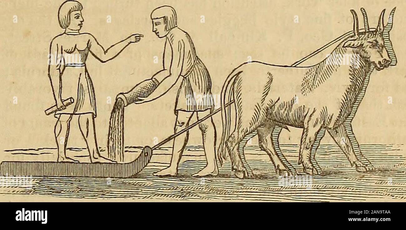 The New York coach-maker's magazine . r motion assumed the sledgeform ...