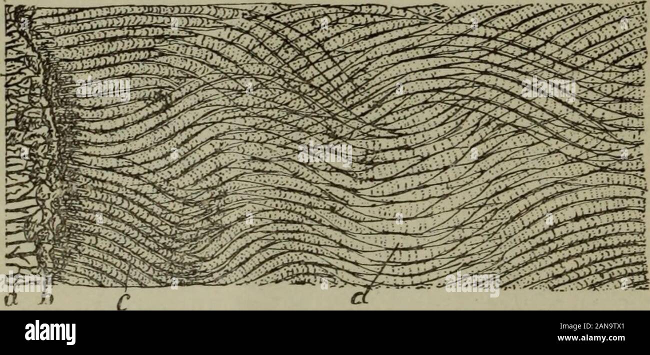 Enamel rods hi-res stock photography and images - Alamy