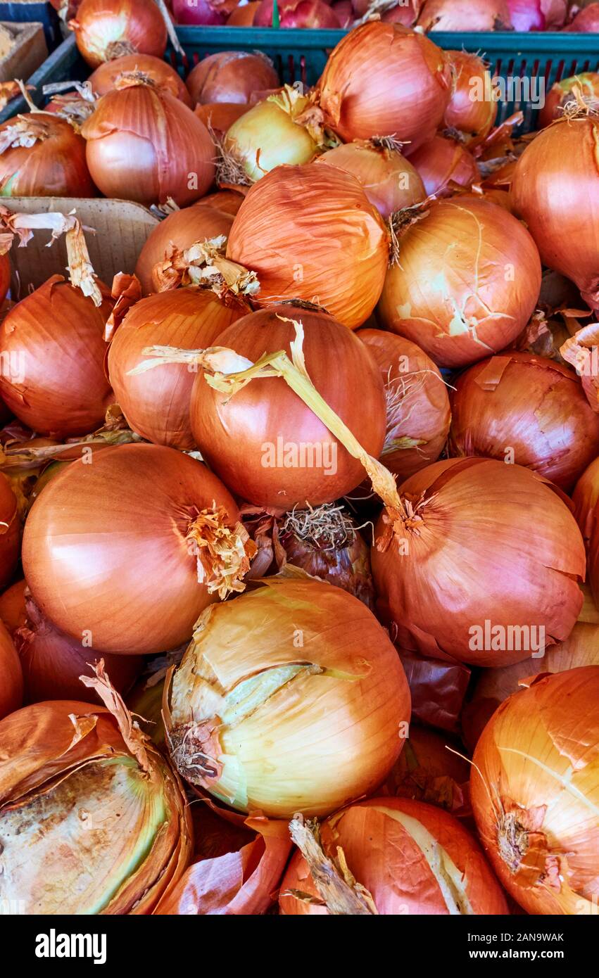 Fresh onion in boxes at the market Stock Photo - Alamy