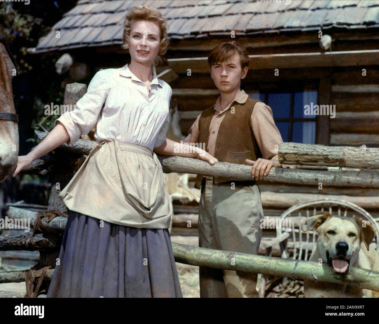 Sein Freund Jello High Resolution Stock Photography and Images - Alamy