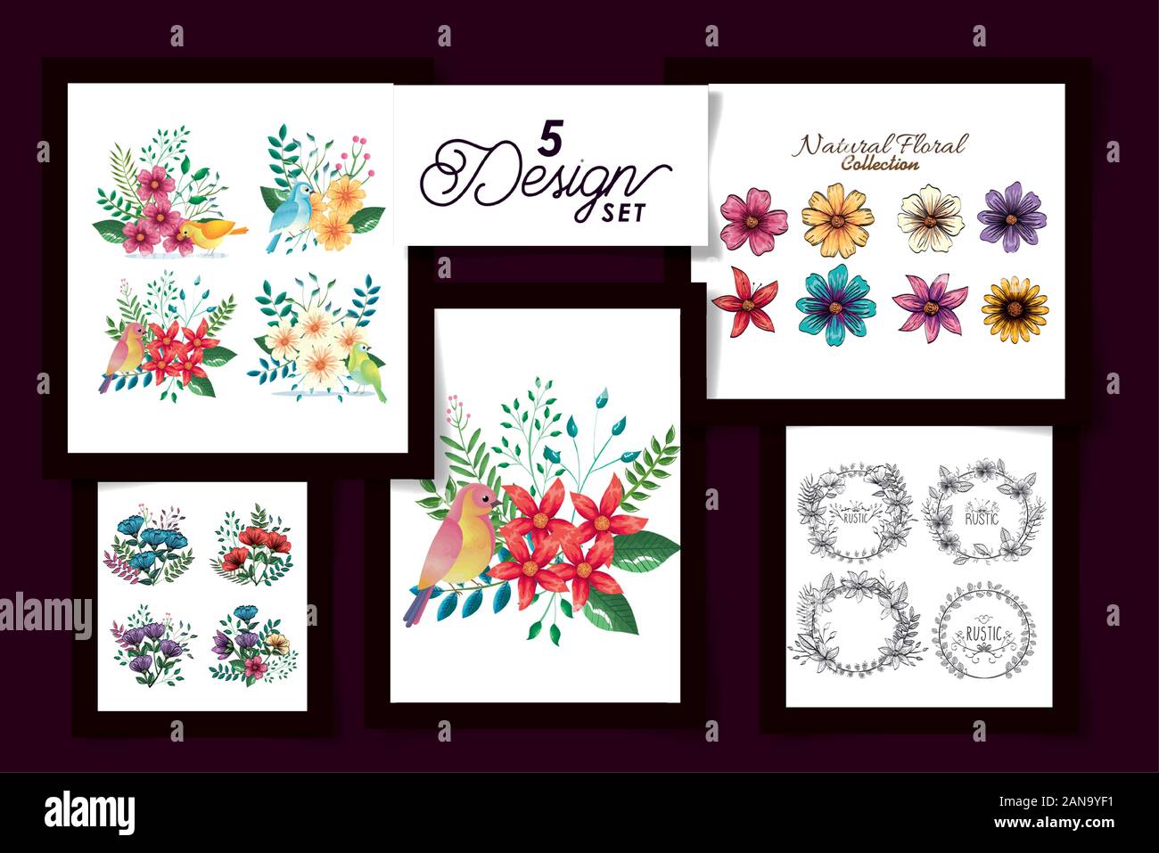 five designs of natural flowers collection Stock Vector Image & Art - Alamy