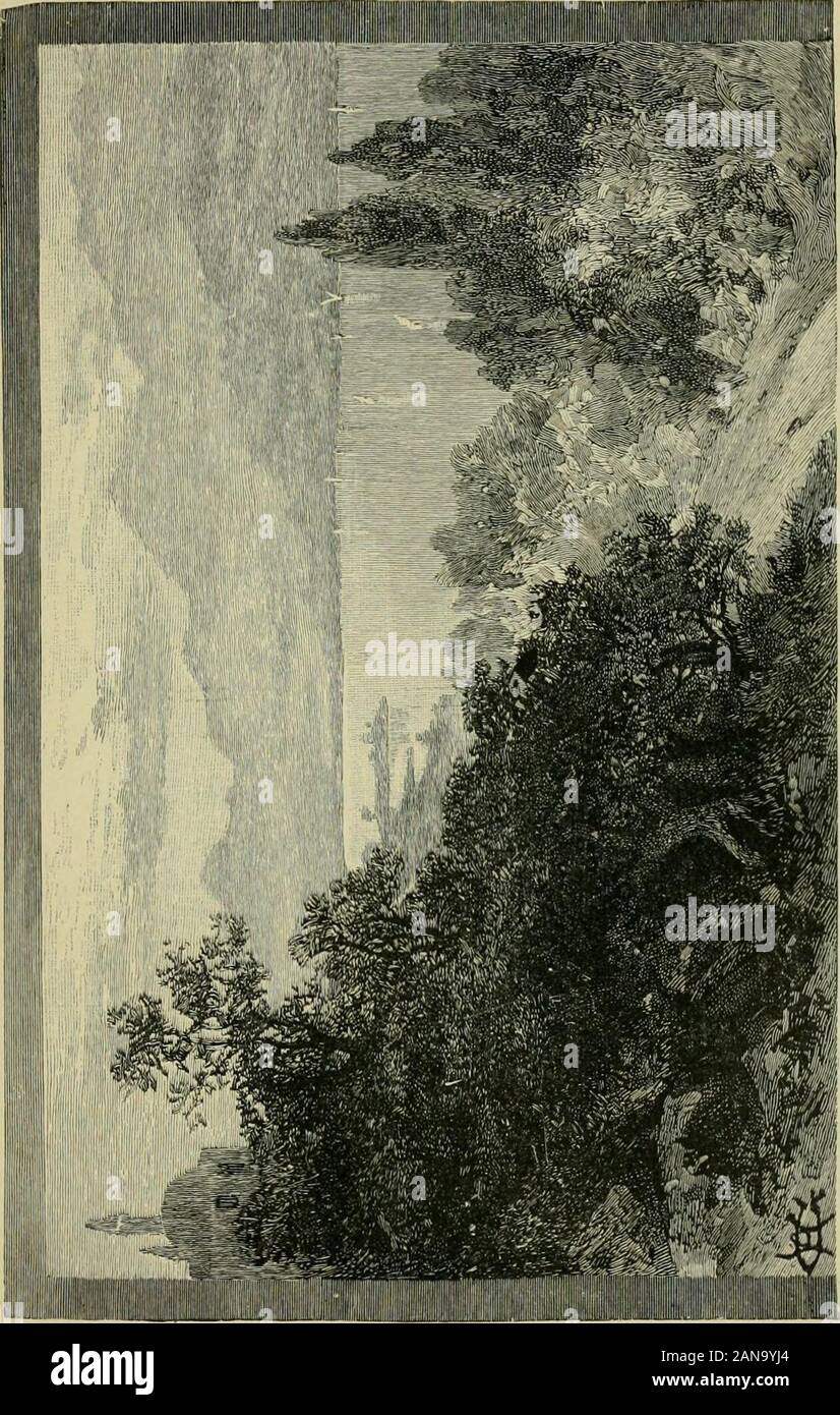 Pandora Peaks's Instagram, Twitter & Facebook on IDCrawl