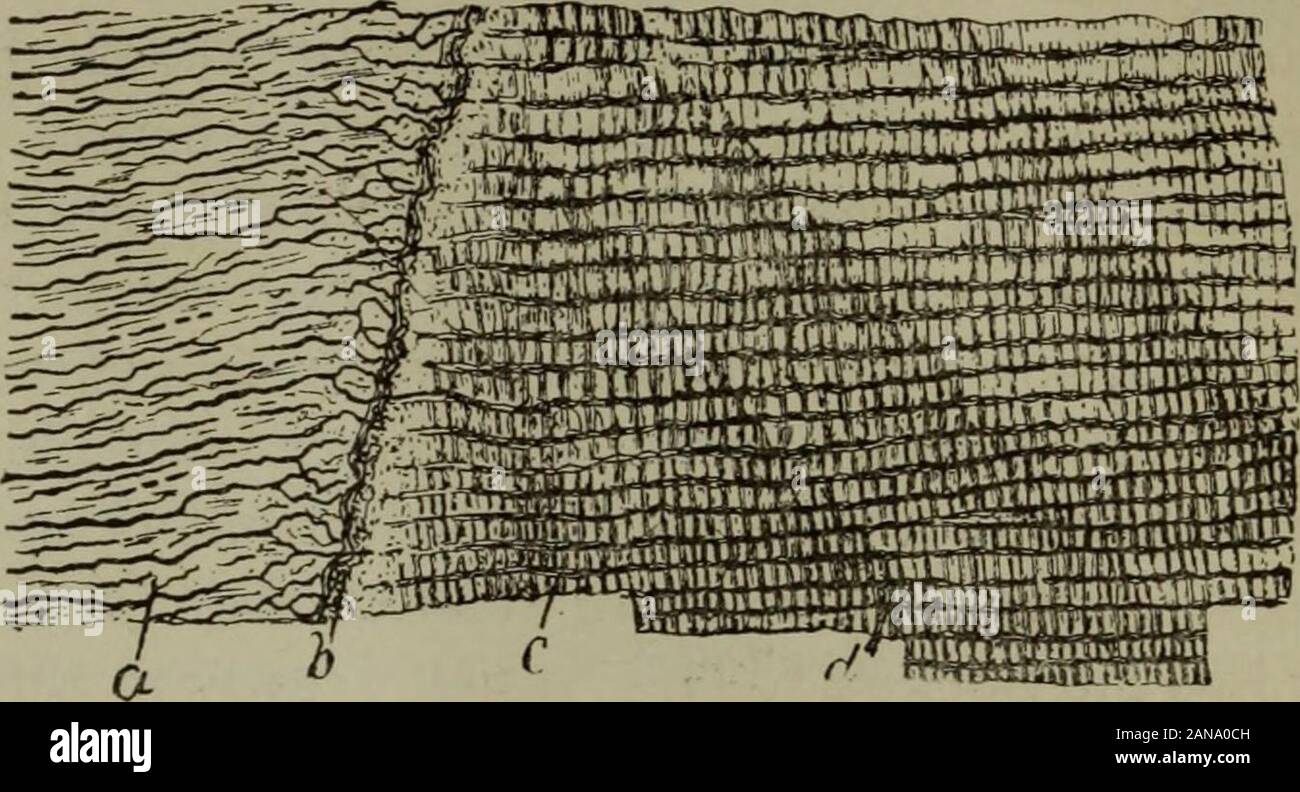 Enamel rods hi-res stock photography and images - Alamy