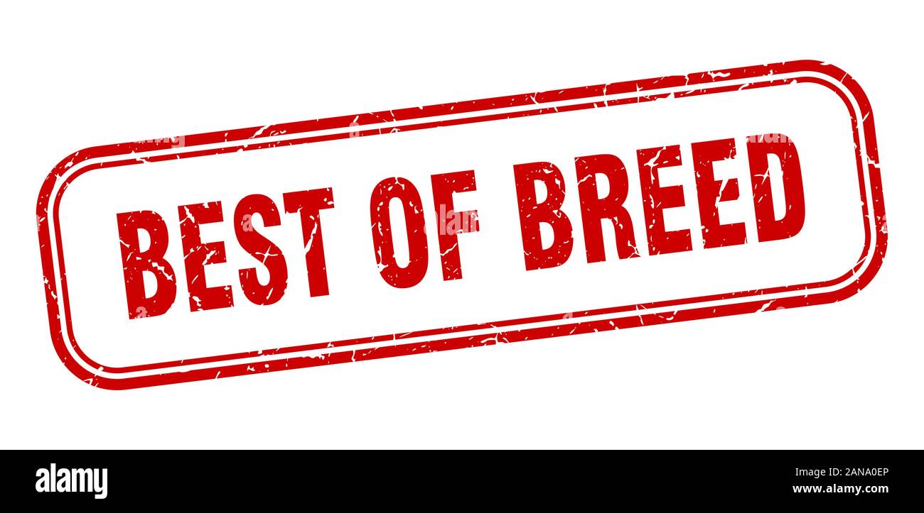 best of breed stamp. best of breed square grunge red sign Stock Vector ...