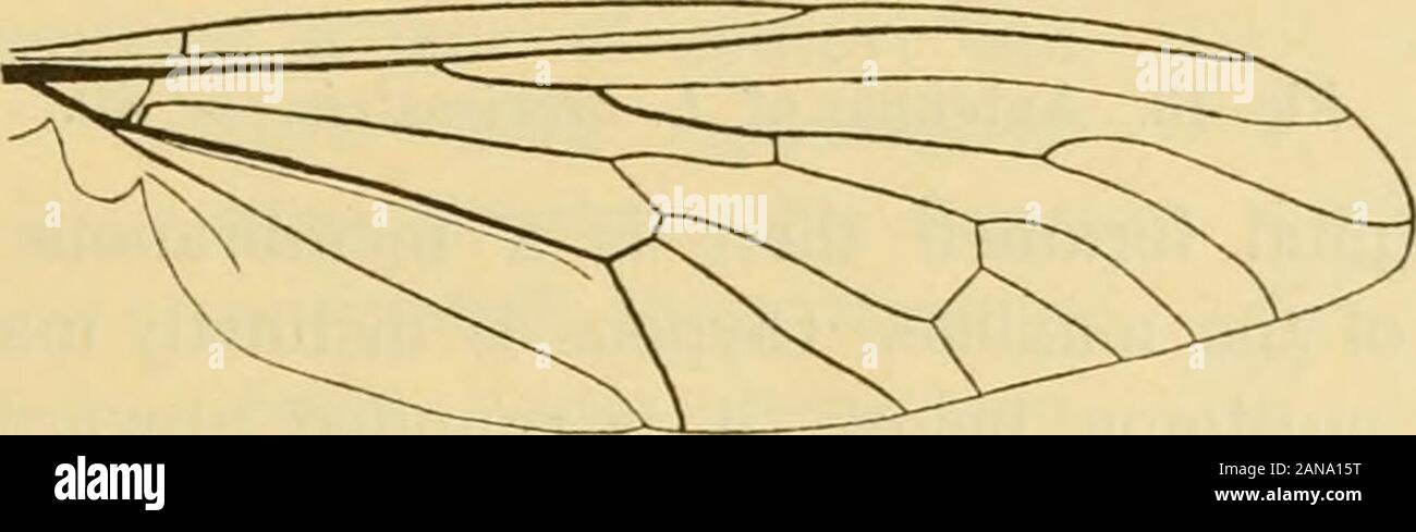 Diptera danica : genera and species of flies hitherto found in Denmark ...