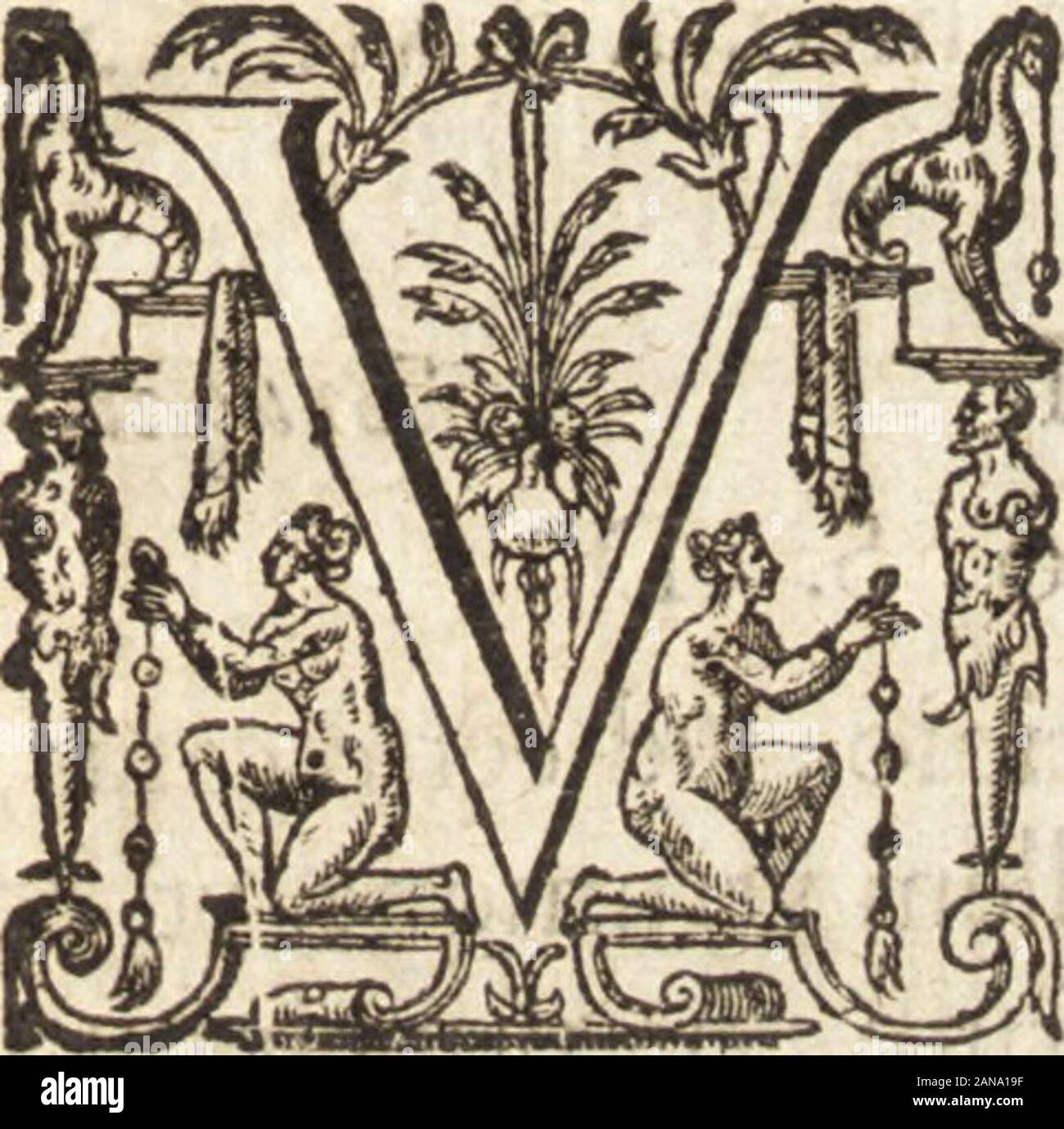 Rapinis hi-res stock photography and images - Alamy