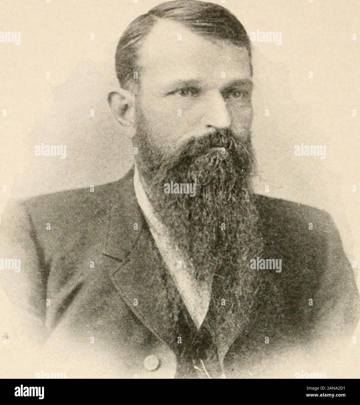 Arcus senilis hi-res stock photography and images - Alamy