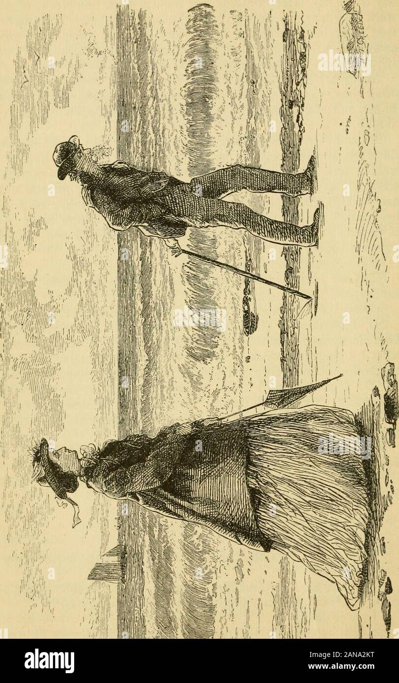 Haughtily hi-res stock photography and images - Alamy