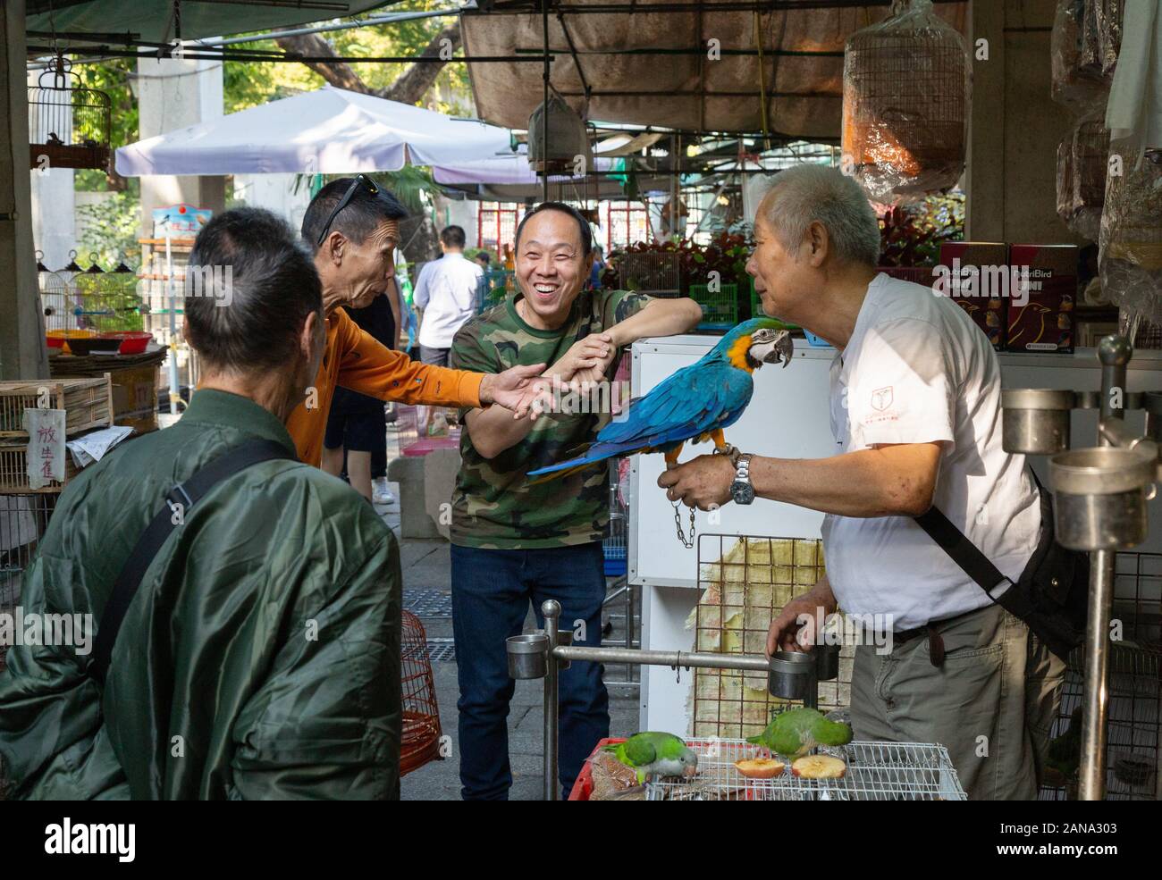 Hong Kong bird market; local men talking in the bird market, example of ...