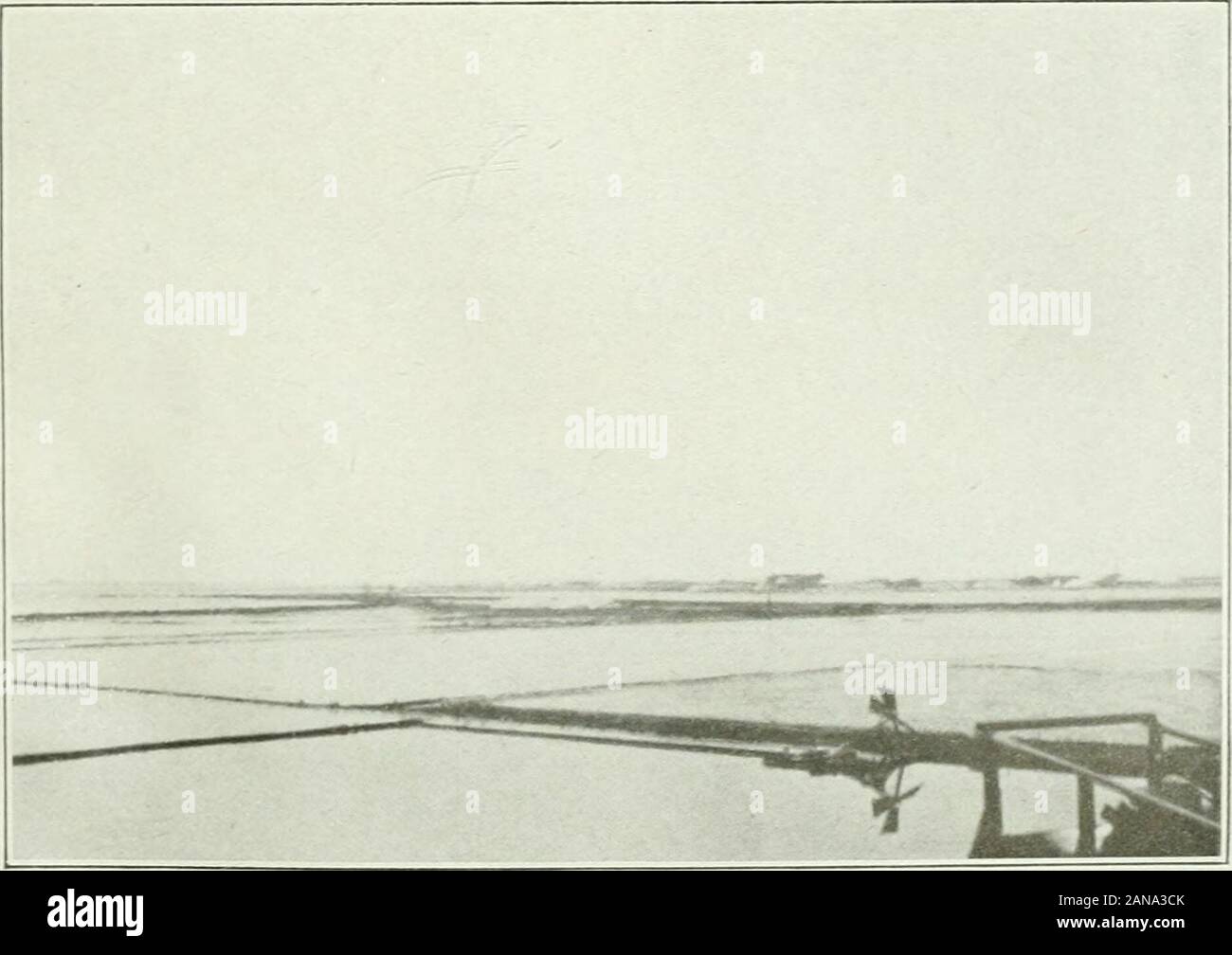 San francisco bay salt ponds hi-res stock photography and images - Alamy