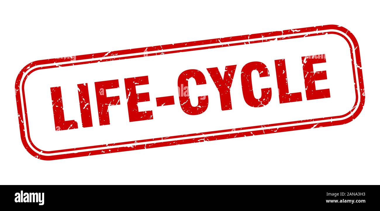 life-cycle stamp. life-cycle square grunge red sign Stock Vector Image ...
