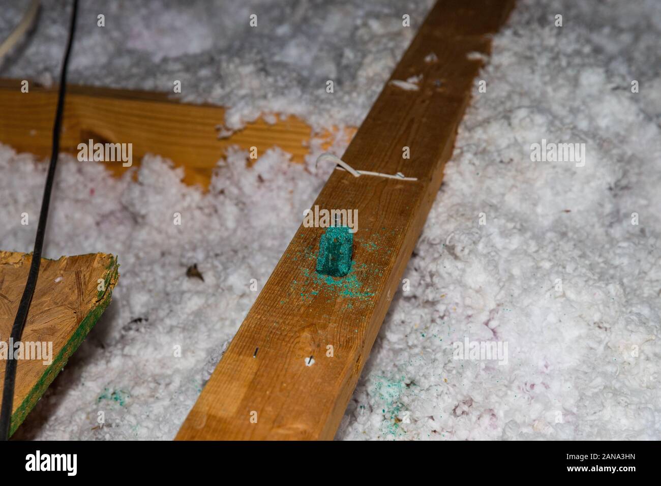 Rat poison box hi-res stock photography and images - Alamy
