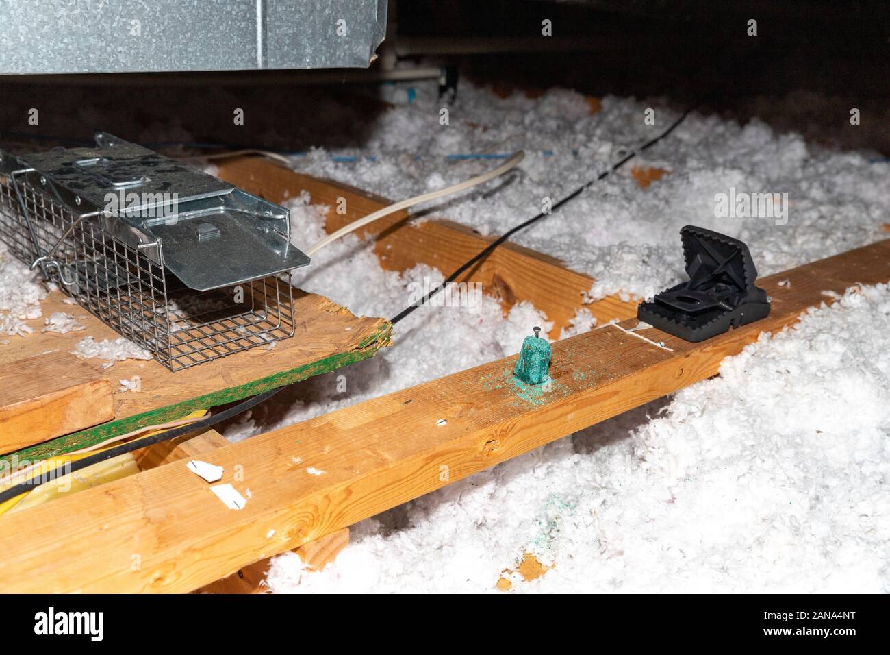 Rat poison hi-res stock photography and images - Alamy