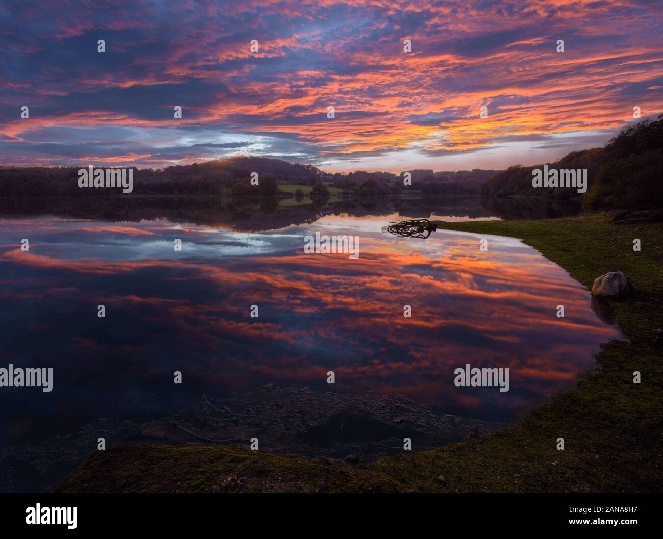 Breathtaking Sunset on a Quiet Water Sheet that reflects the Golden ...
