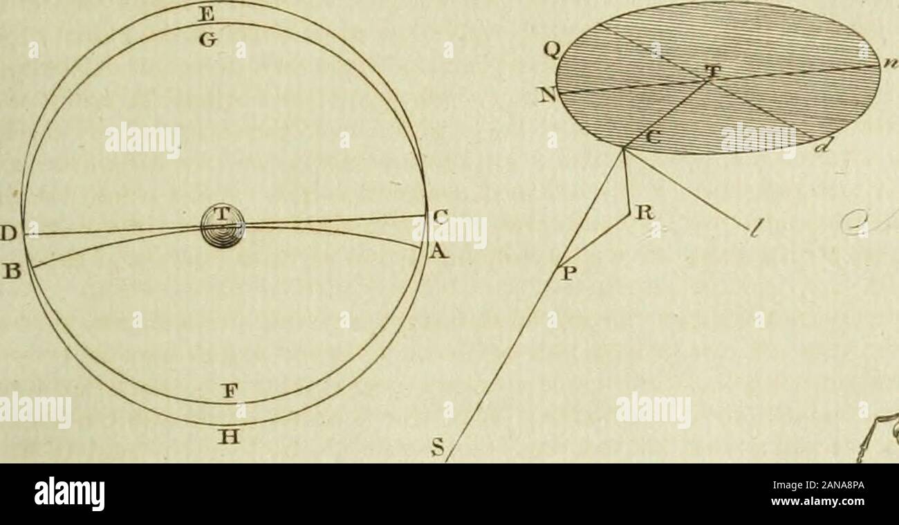 The nodus hi-res stock photography and images - Alamy