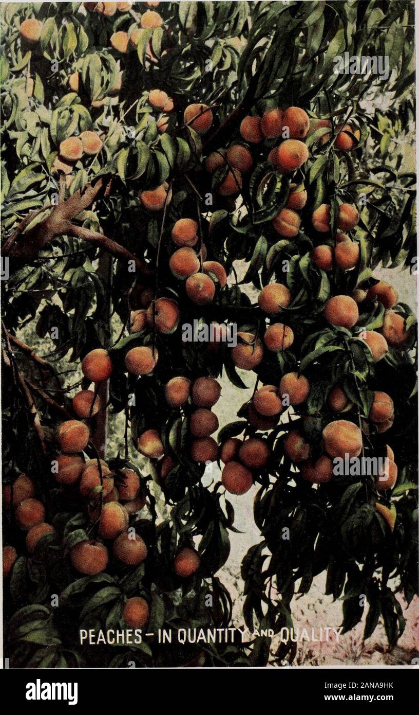 Pi ns hi-res stock photography and images - Alamy