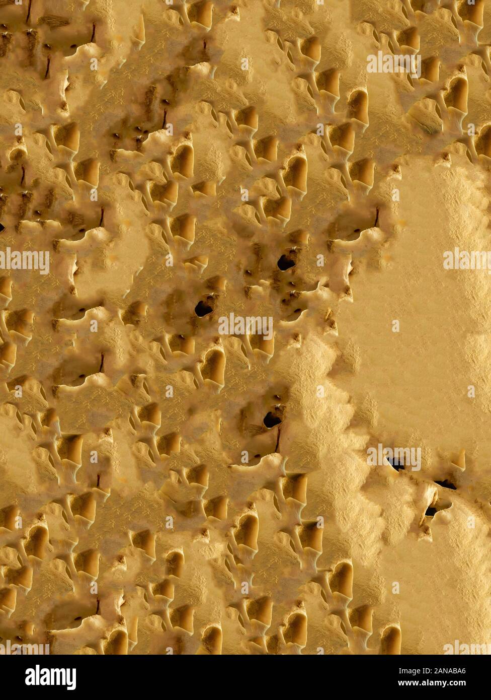 Very close-up abstract of colourful bone structure Stock Photo - Alamy