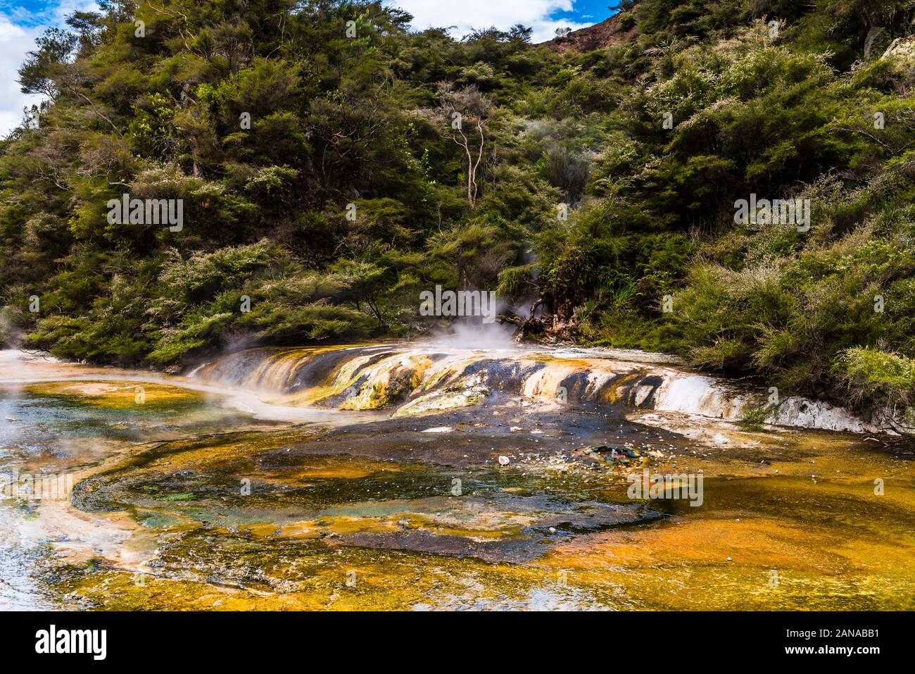 Warbrick Terrace in Waimangu Volcanic Valley, Rotorua, Bay of Plenty ...