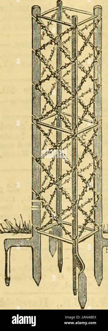 Ire tree hi-res stock photography and images - Alamy
