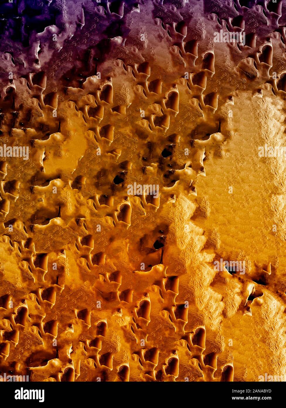 Very close-up abstract of colourful bone structure Stock Photo - Alamy