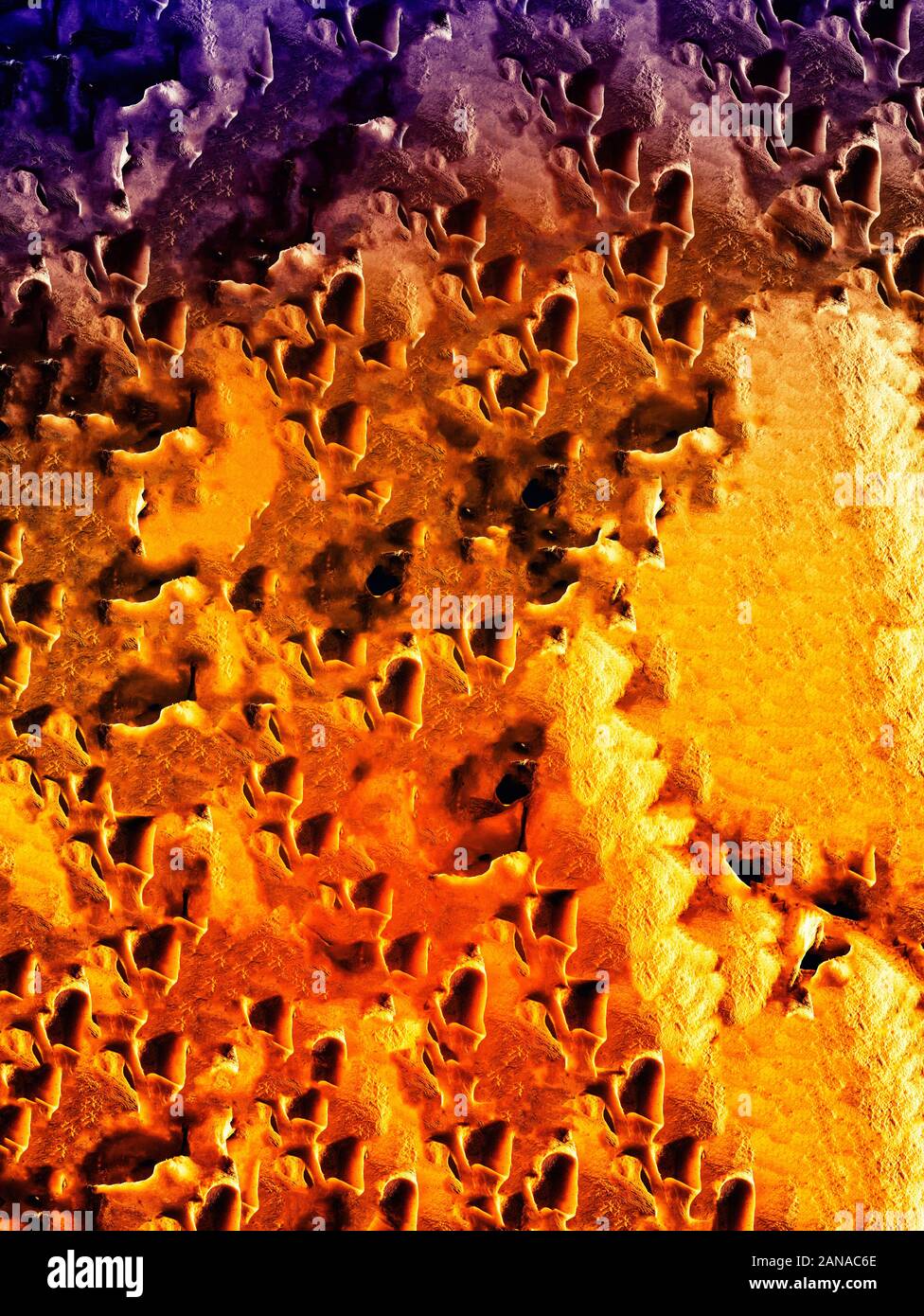 Very close-up abstract of colourful bone structure Stock Photo - Alamy