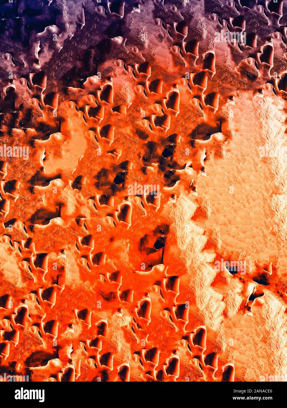 Bone Texture High Resolution Stock Photography and Images - Alamy