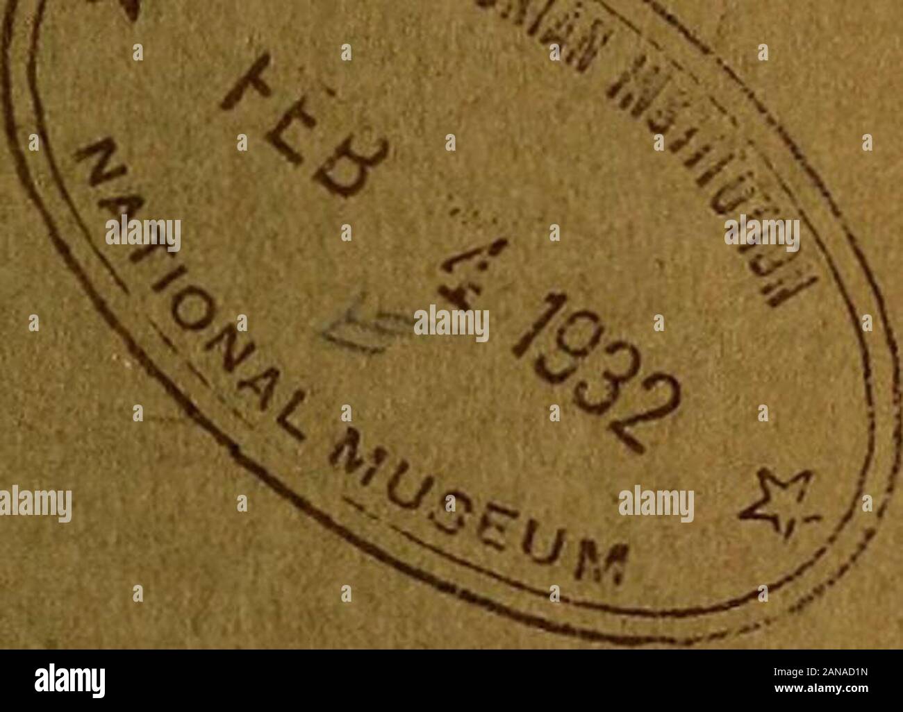 Schuffner hi-res stock photography and images - Alamy