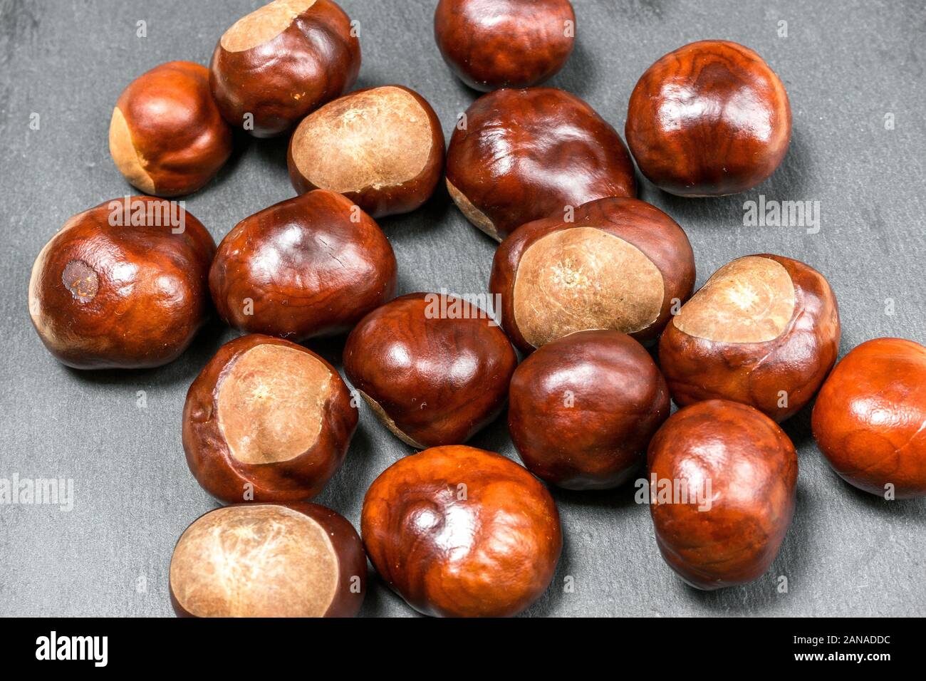 Fresh chestnut fruit scattered on grey stone background Stock Photo - Alamy
