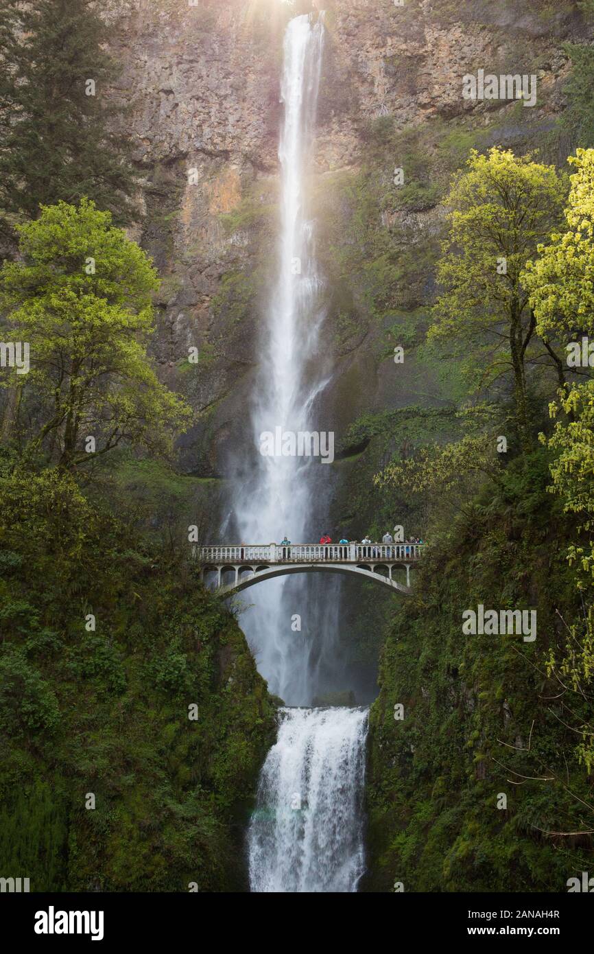 Multnomah waterfalls hi-res stock photography and images - Alamy