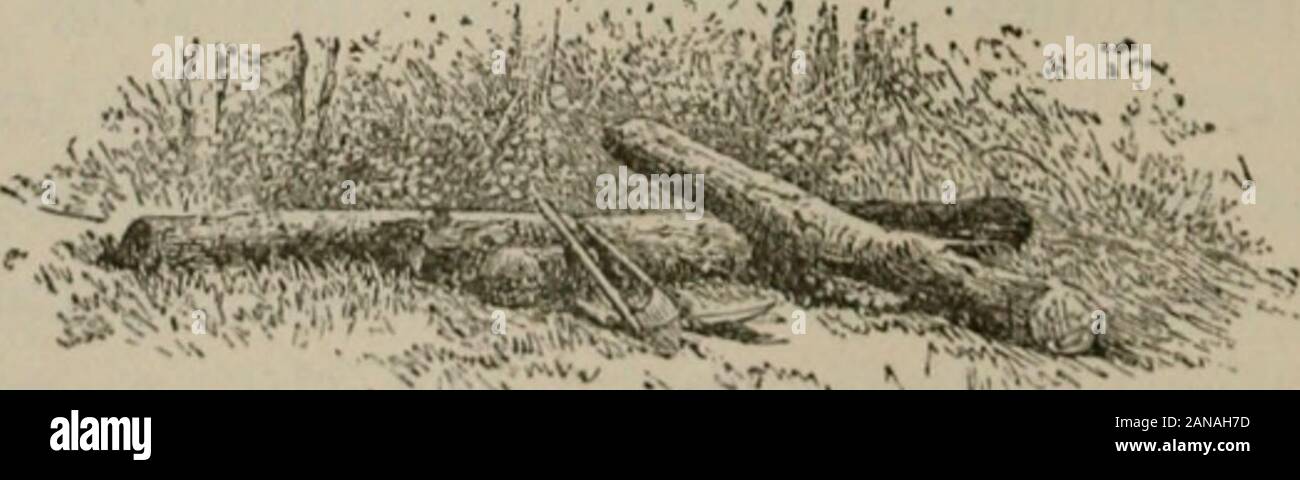 Helaman hi-res stock photography and images - Alamy