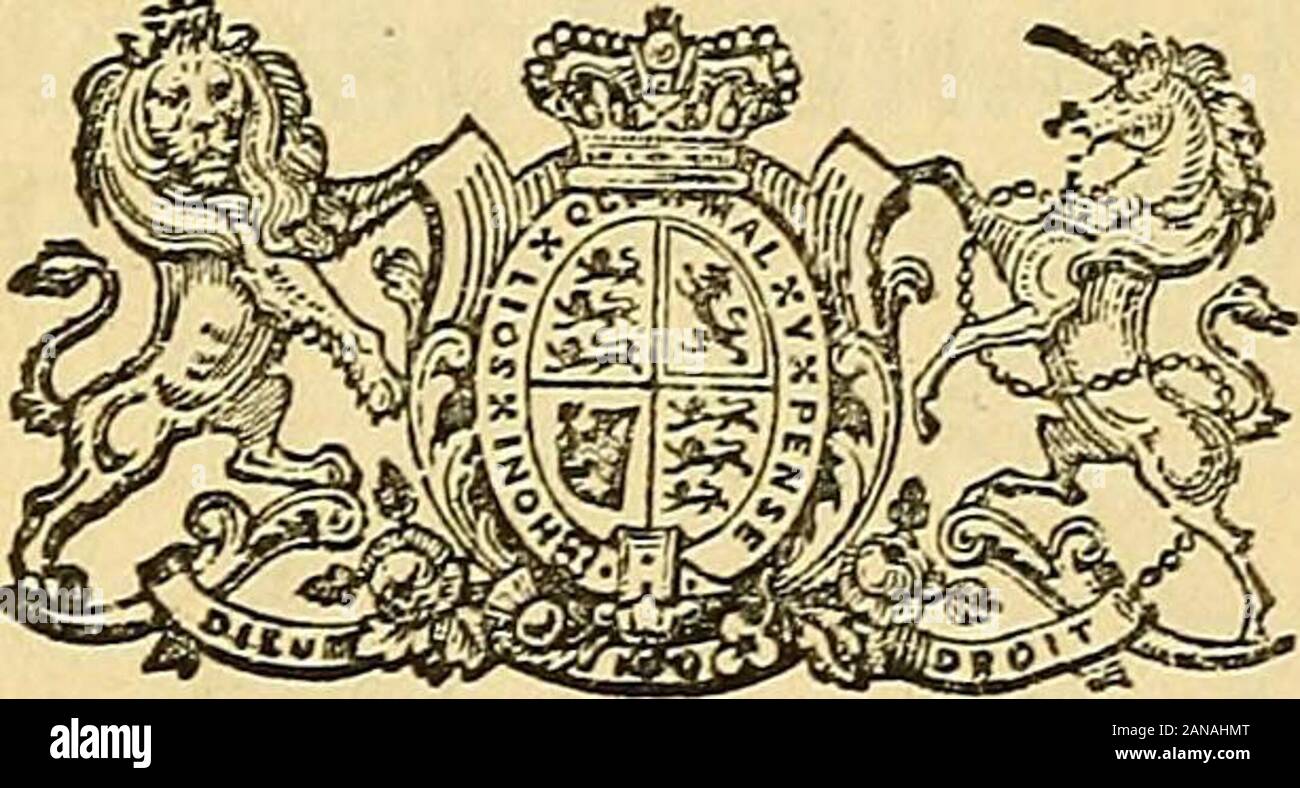 Breech loading rifles hi-res stock photography and images - Alamy