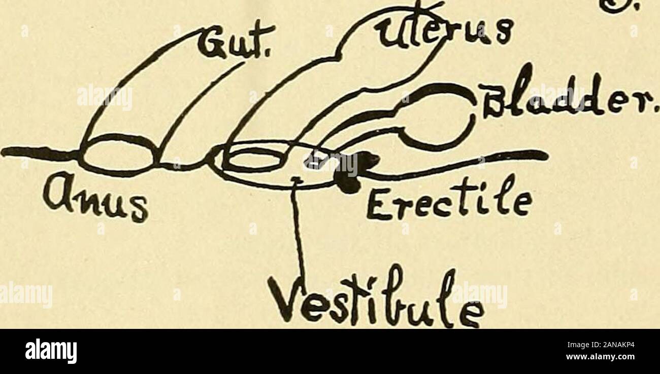 Rectal Use Only High Resolution Stock Photography and Images - Alamy