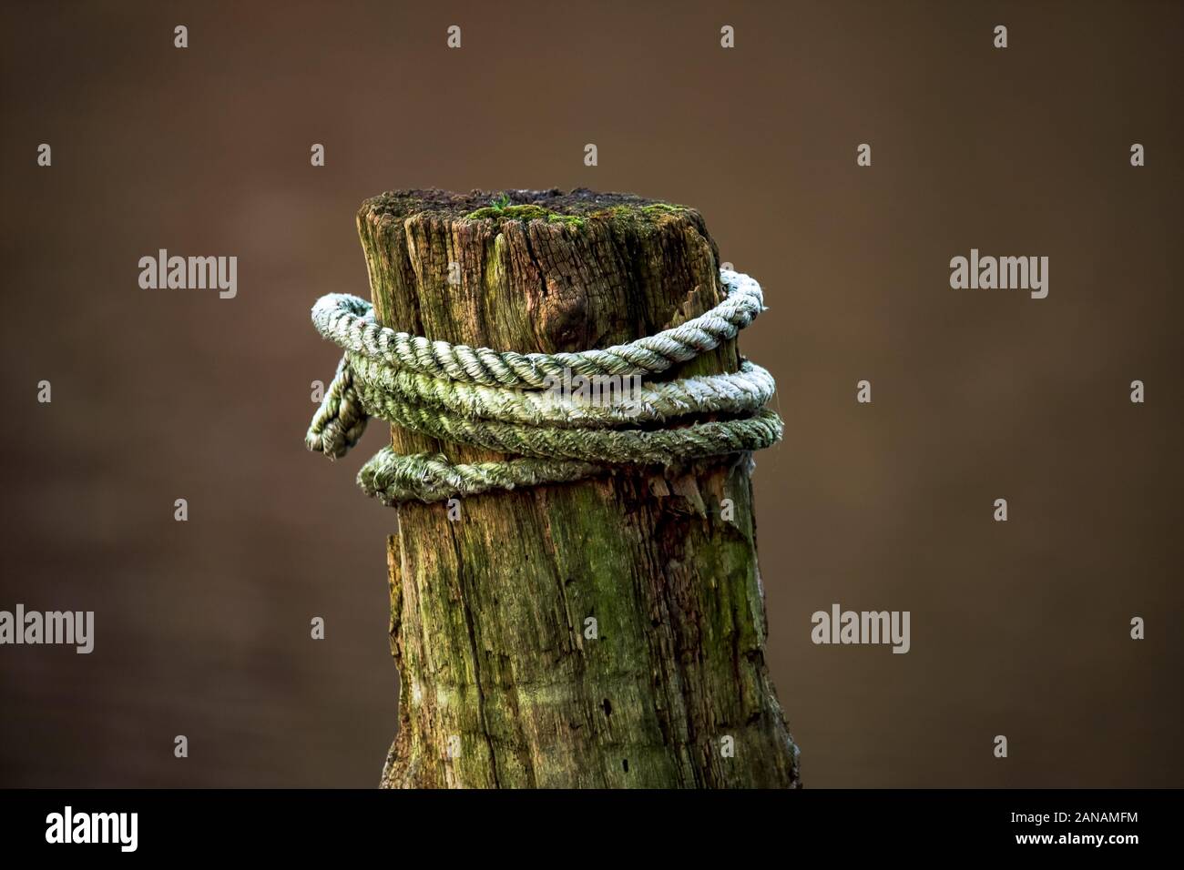 The different structures of wood and rope look really nice Stock Photo ...