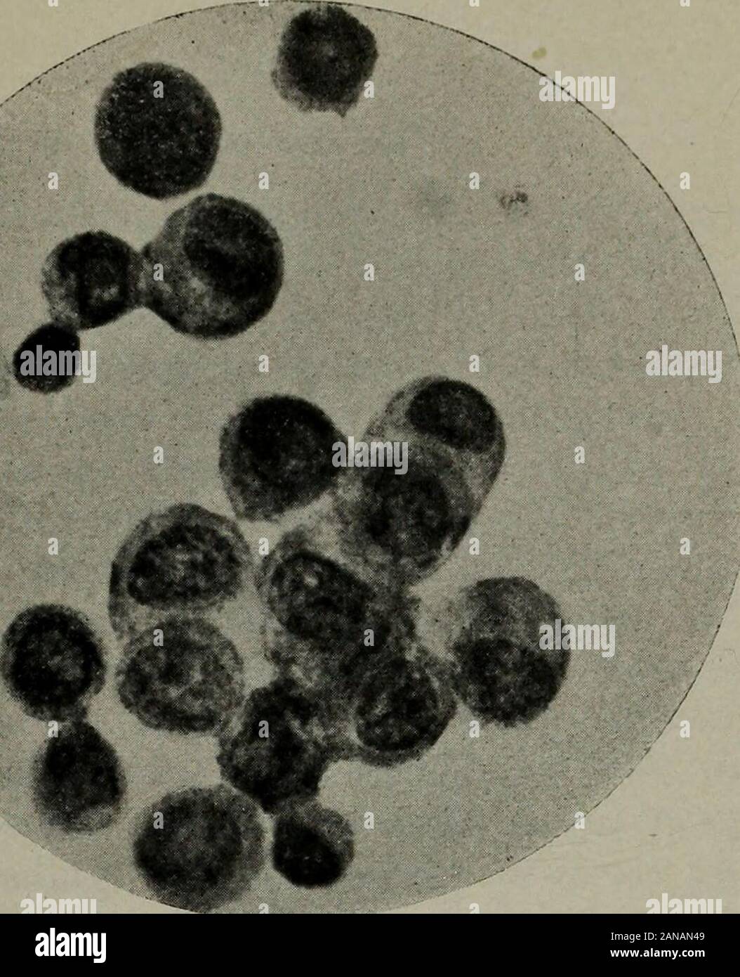 Medical communications of the Massachusetts Medical Society . Fig. 2 ...