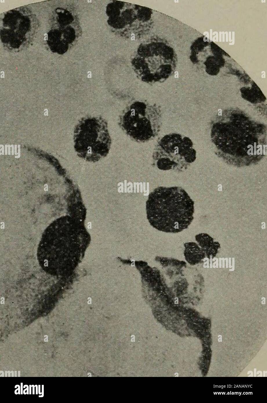 Medical communications of the Massachusetts Medical Society . f# 0 Fig ...