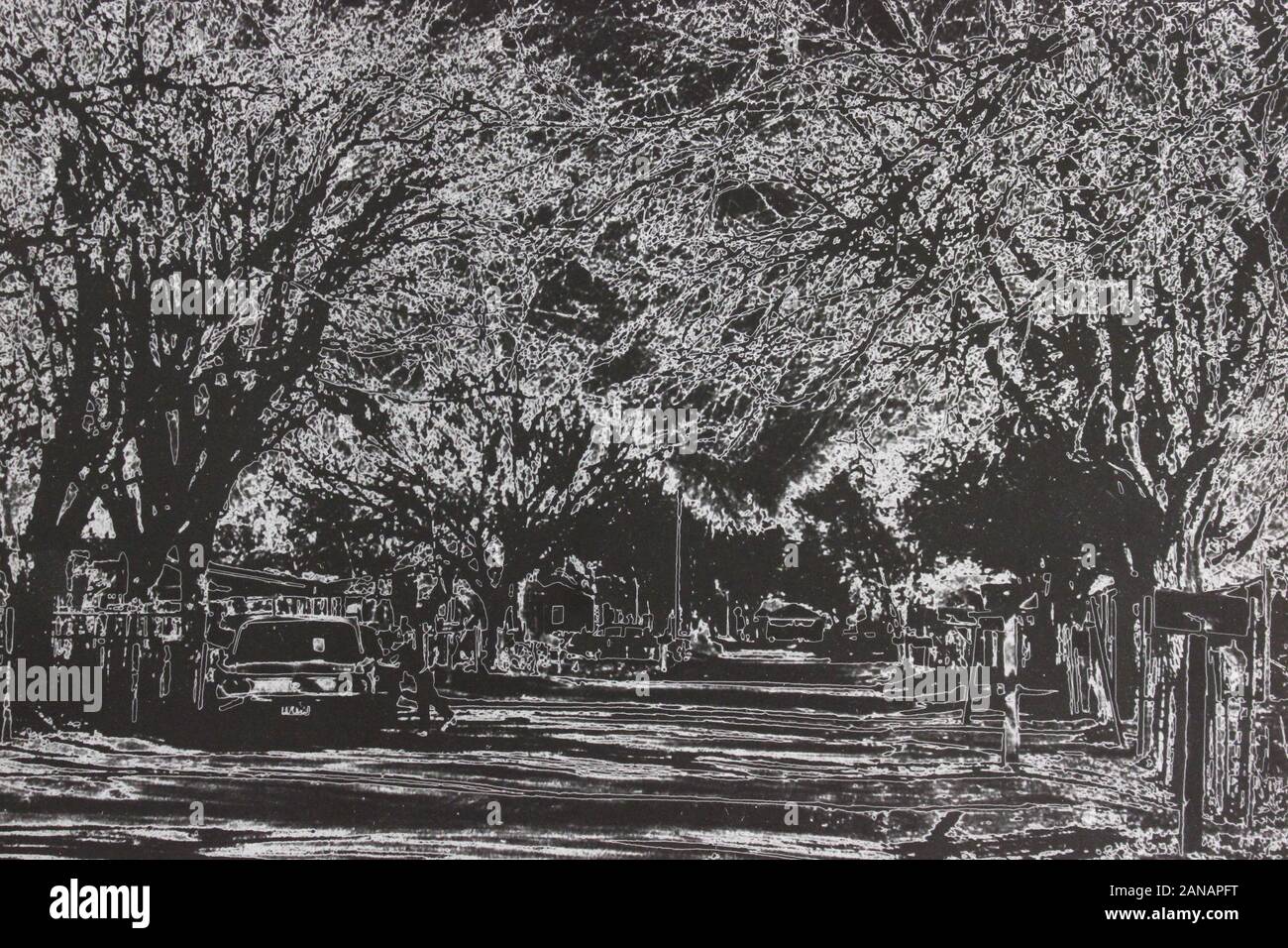 Fine seventies black and white extreme photography of a normal regular ...