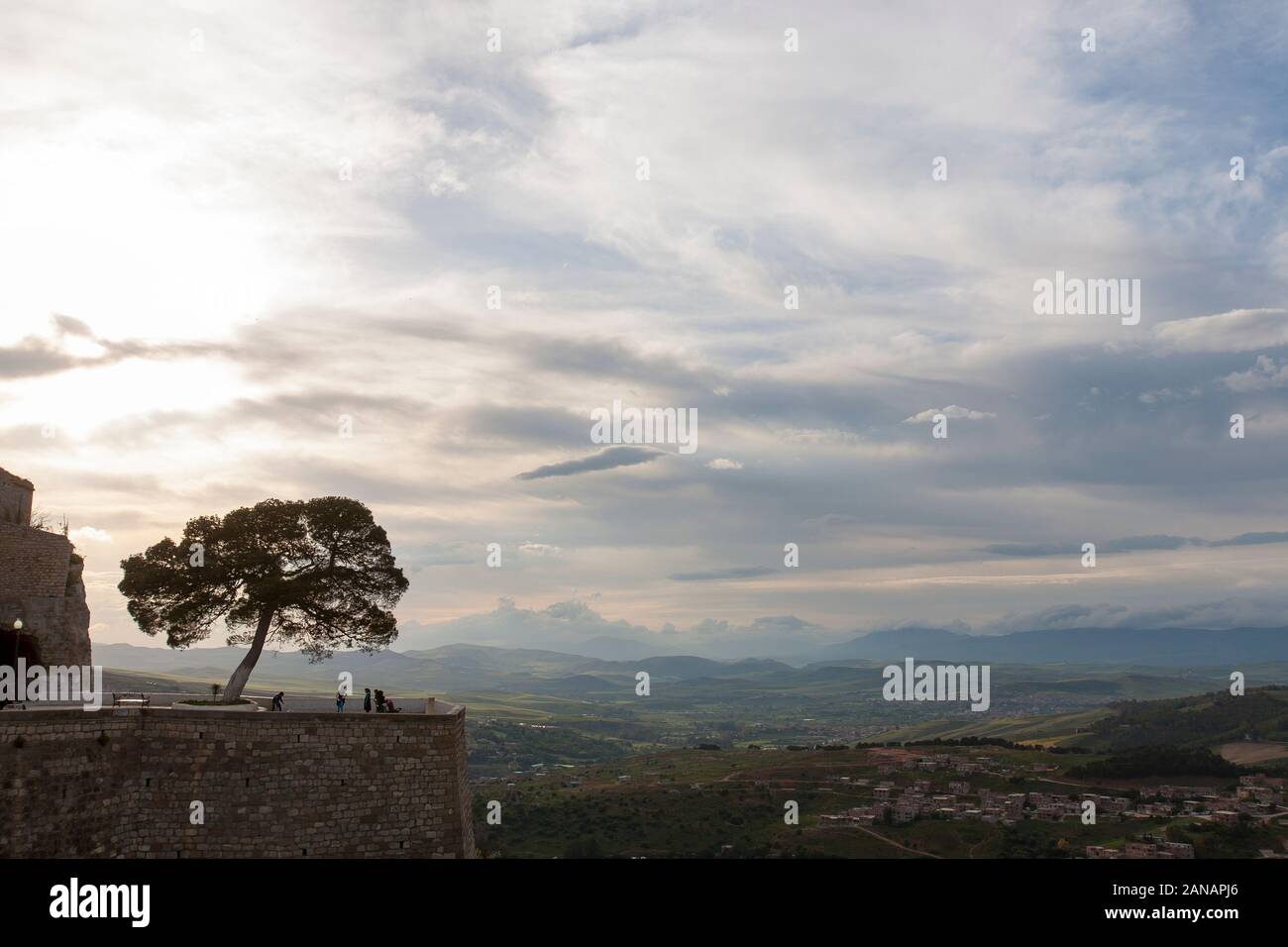 A view of a tree from the Sidi M'Cid Suspension bridge across to Saint ...