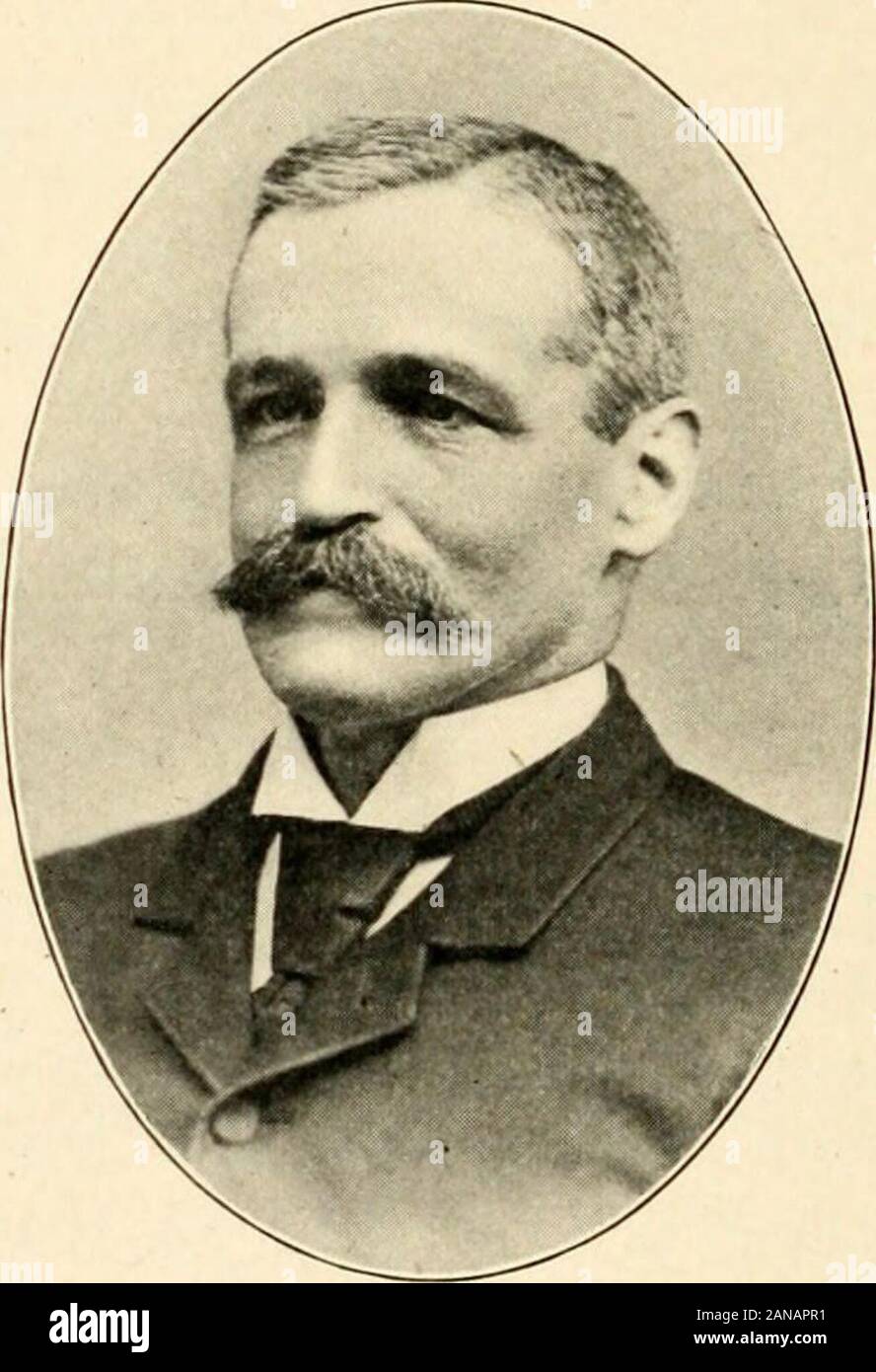 Catalpa family hi-res stock photography and images - Alamy