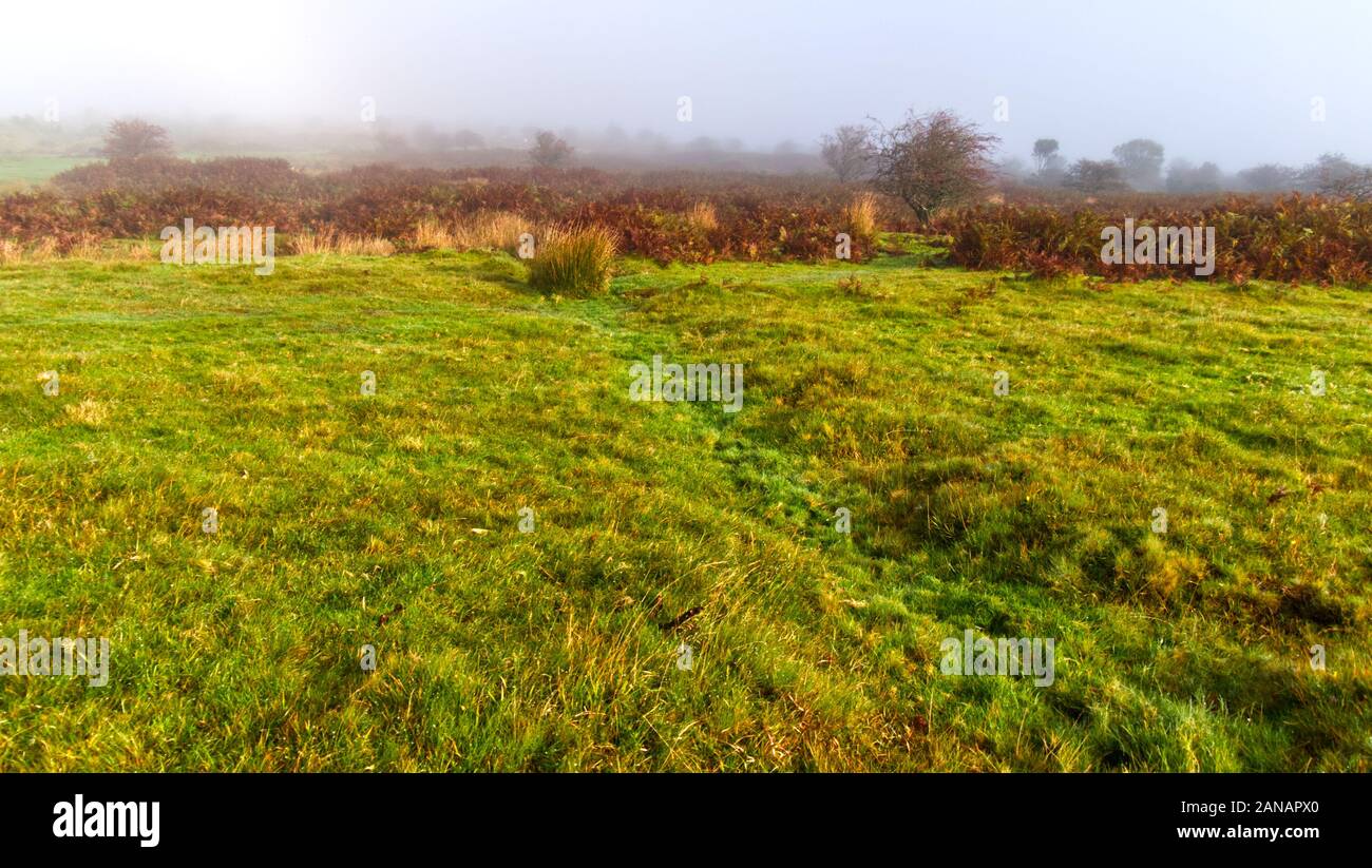 Cornish natural spring water hi-res stock photography and images - Alamy