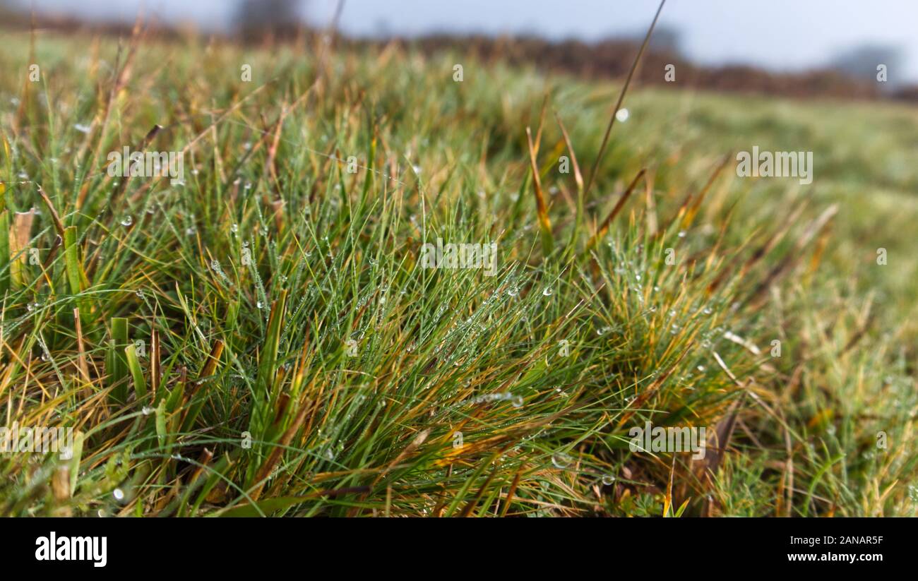 Cornish natural spring water hi-res stock photography and images - Alamy