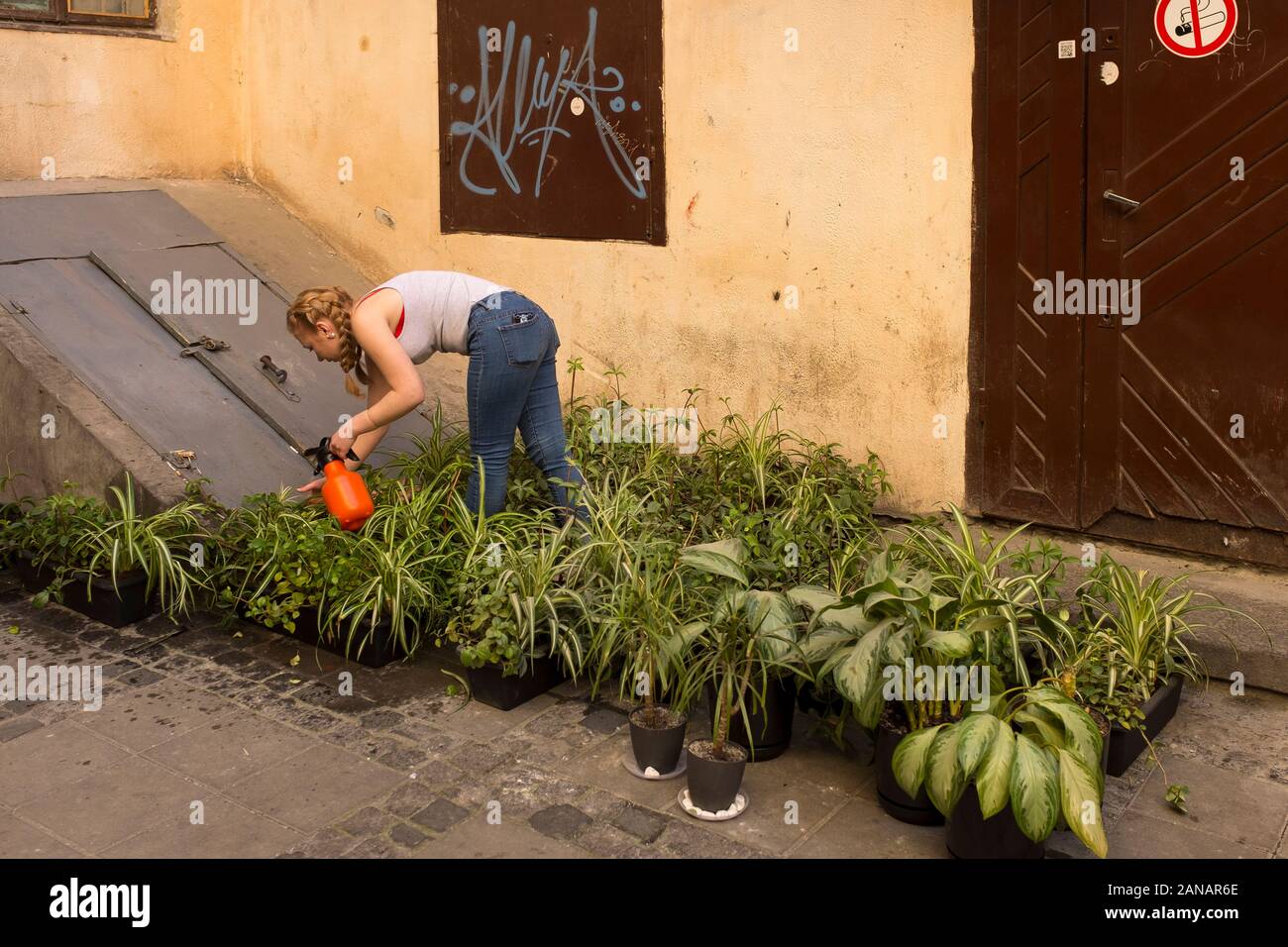 A young woman waters house plants in a concealed alley in the old town ...