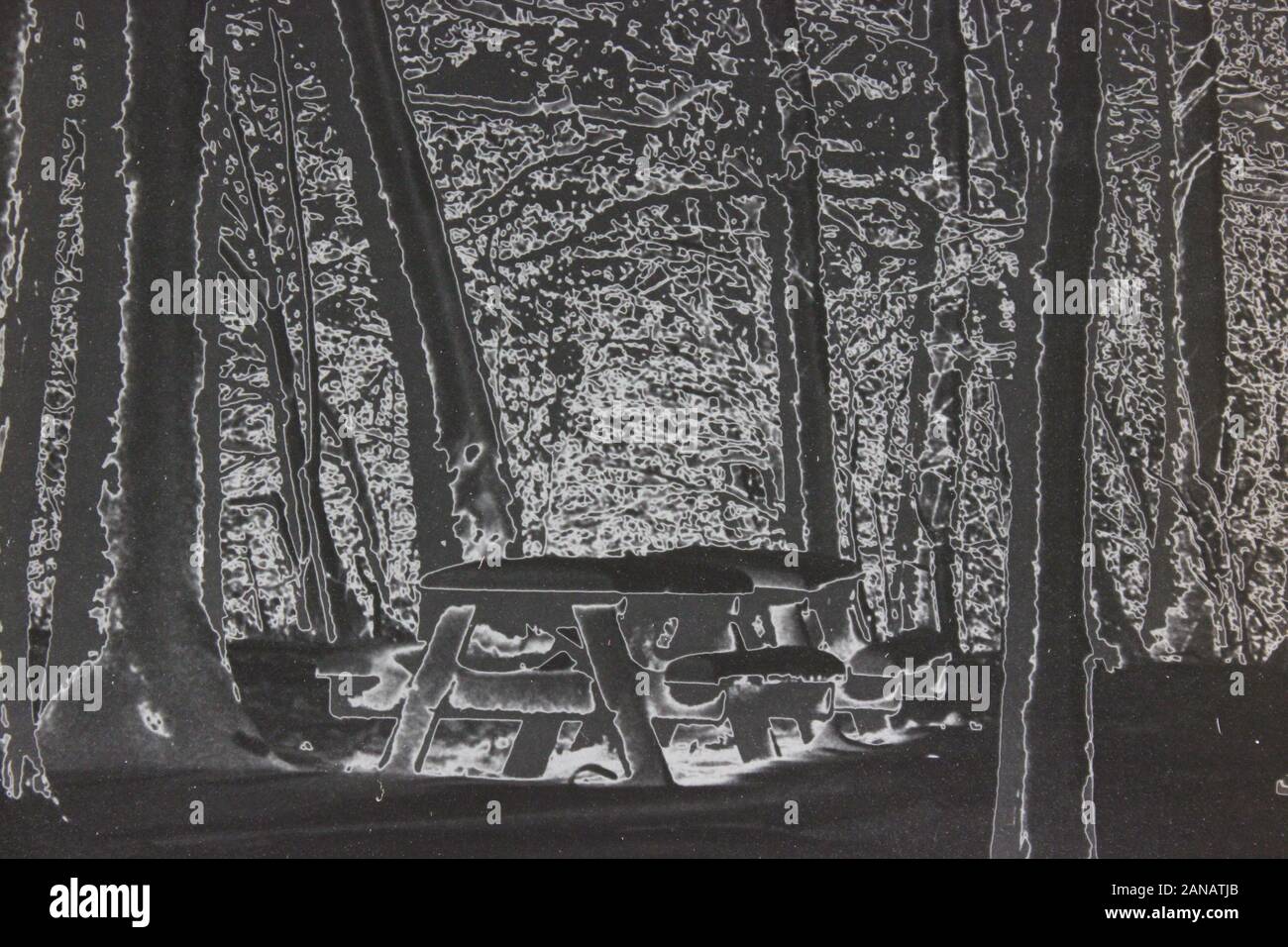 Fine seventies black and white extreme photography of a haunted picnic ...