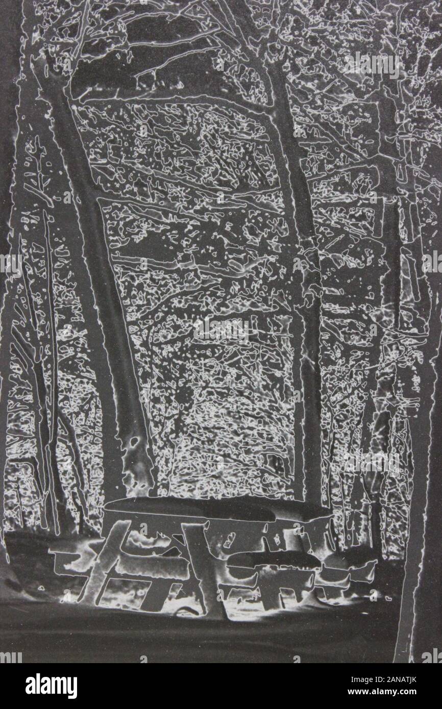 Fine seventies black and white extreme photography of a haunted picnic ...