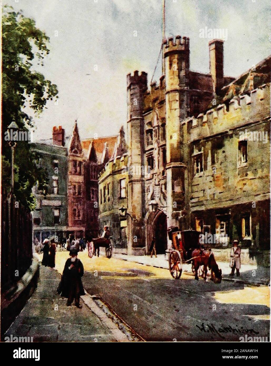 Tilk hi-res stock photography and images - Alamy